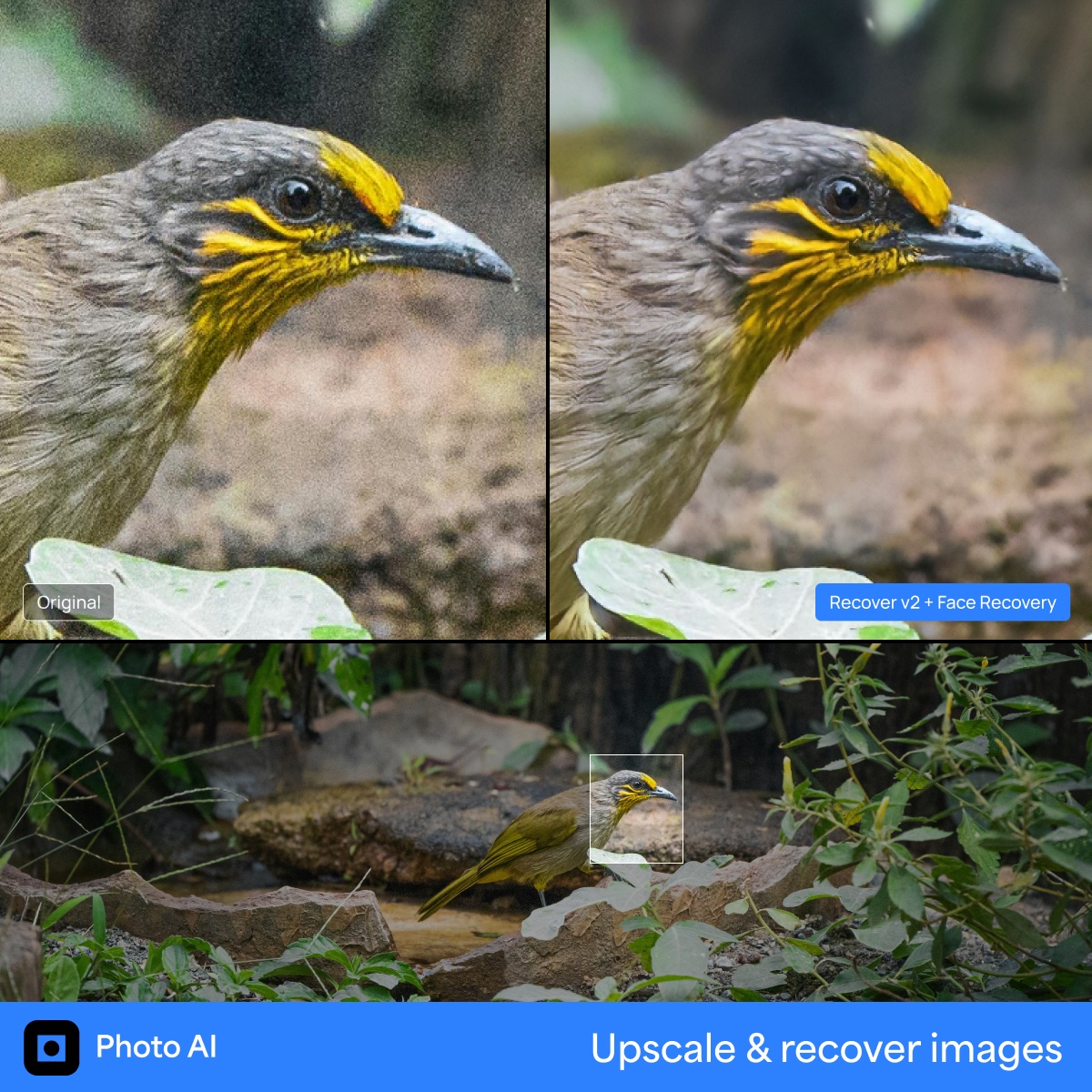 Topaz Labs Photo AI version 4 released with a $30 promo discount ...